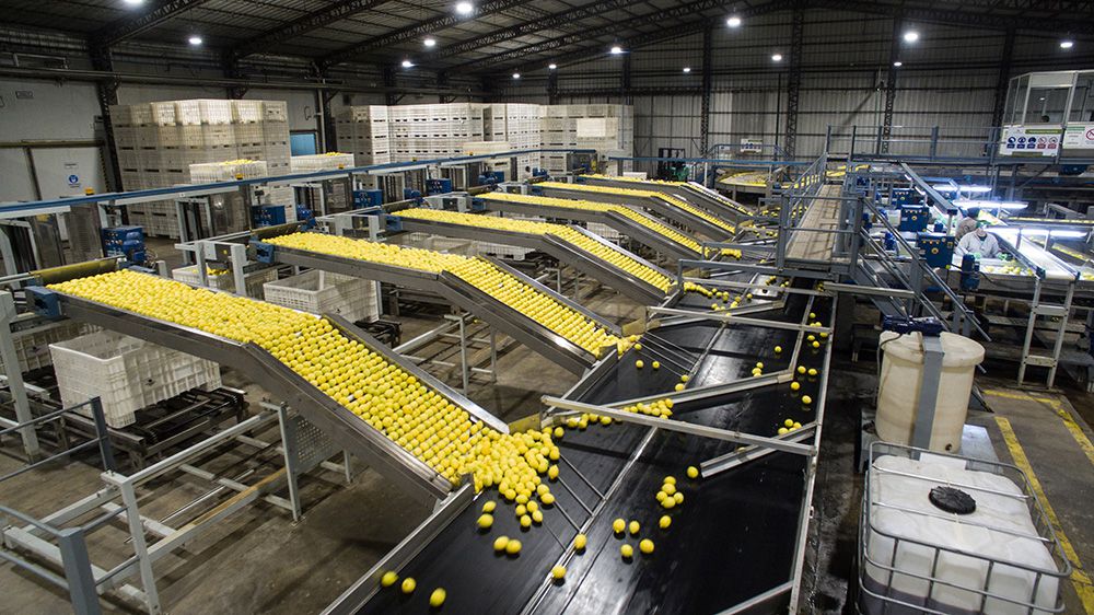 EnviroControl encara la última fase en desarrollo de monitoreo ...